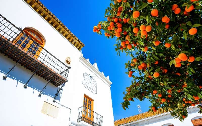 Waarom Valencia? - The Orange Guide